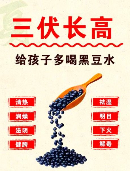 黑豆怎么煮好吃_家常黑豆做法大全-第2张图片-山城妙识 黑豆怎么煮好吃_家常黑豆做法大全-第2张图片-山城妙识