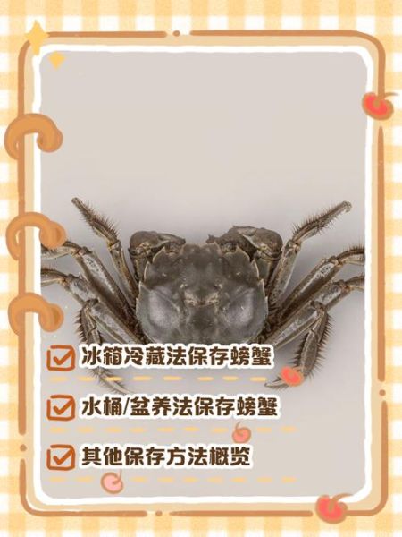 螃蟹怎么保存过夜_活蟹隔夜存放方法-第2张图片-山城妙识