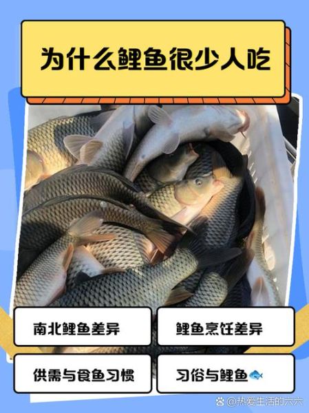 鲤鱼什么人不能吃_痛风患者能吃鲤鱼吗-第1张图片-山城妙识