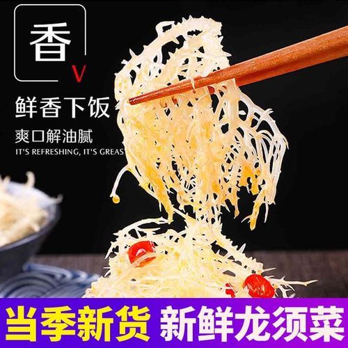 龙须菜是什么菜的苗_龙须菜和石花菜区别-第3张图片-山城妙识