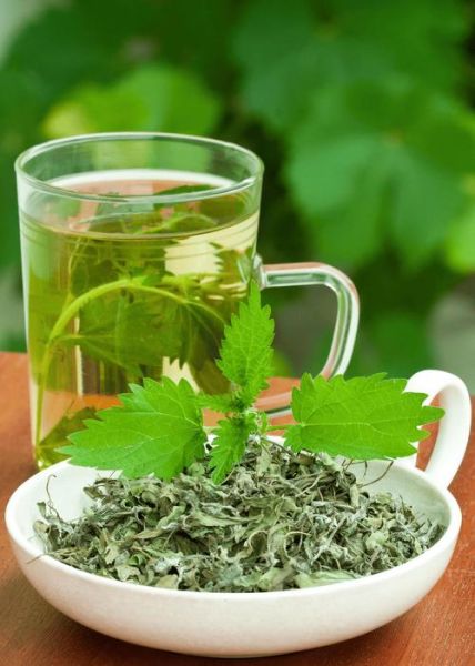 车前草泡水喝能治妇科炎症吗_车前草对阴道炎有效吗-第1张图片-山城妙识 车前草泡水喝能治妇科炎症吗_车前草对阴道炎有效吗-第1张图片-山城妙识