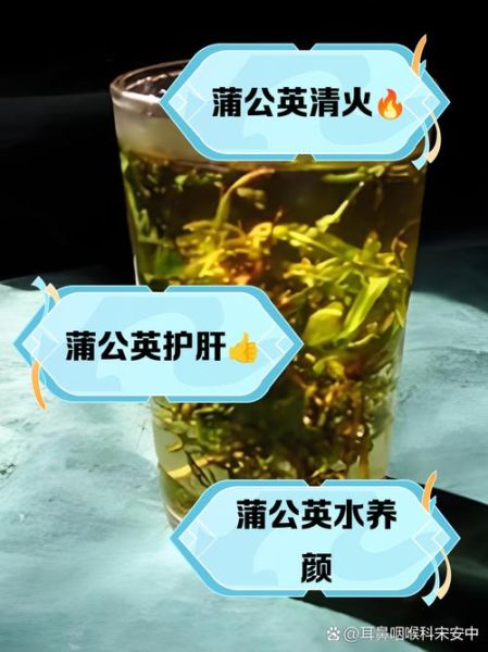 蒲公英花泡水喝的功效与作用_蒲公英花能天天喝吗-第3张图片-山城妙识 蒲公英花泡水喝的功效与作用_蒲公英花能天天喝吗-第3张图片-山城妙识