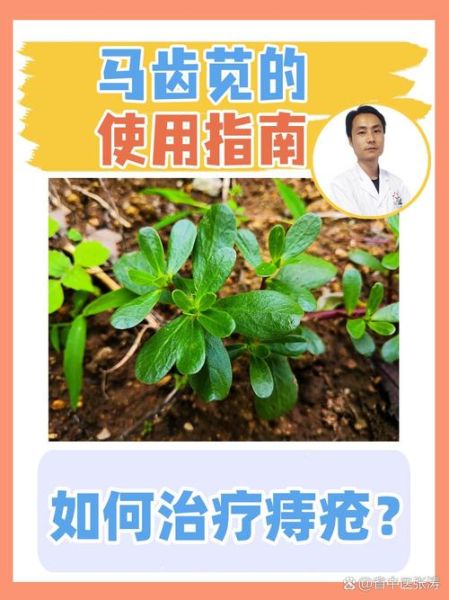 痔疮偏方真的有效吗_最简单治痔疮偏方-第1张图片-山城妙识 痔疮偏方真的有效吗_最简单治痔疮偏方-第1张图片-山城妙识