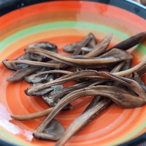 黑皮鸡枞菌多少钱一斤_黑皮鸡枞菌怎么做好吃-第2张图片-山城妙识