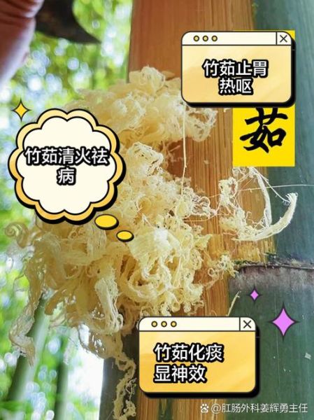 竹茹的功效与作用_竹茹怎么泡水喝-第2张图片-山城妙识 竹茹的功效与作用_竹茹怎么泡水喝-第2张图片-山城妙识