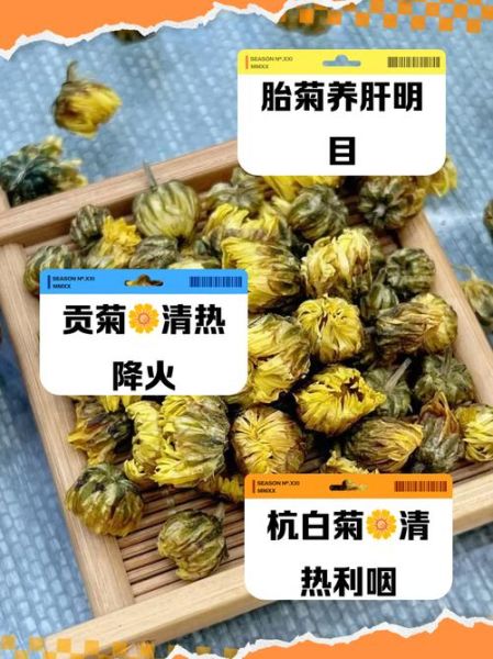 怀菊花泡水喝的功效与禁忌_怀菊花和杭菊的区别-第2张图片-山城妙识 怀菊花泡水喝的功效与禁忌_怀菊花和杭菊的区别-第2张图片-山城妙识