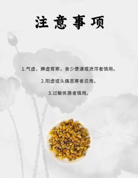 怀菊花泡水喝的功效与禁忌_怀菊花和杭菊的区别-第3张图片-山城妙识 怀菊花泡水喝的功效与禁忌_怀菊花和杭菊的区别-第3张图片-山城妙识