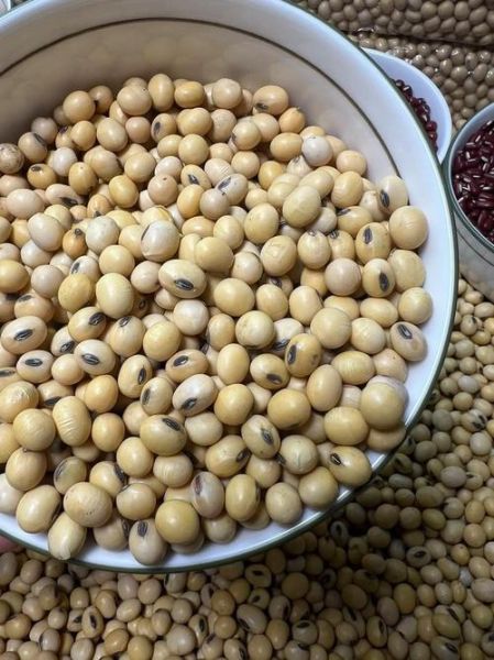 绿皮黄豆的营养价值_绿皮黄豆怎么煮才软烂-第1张图片-山城妙识 绿皮黄豆的营养价值_绿皮黄豆怎么煮才软烂-第1张图片-山城妙识