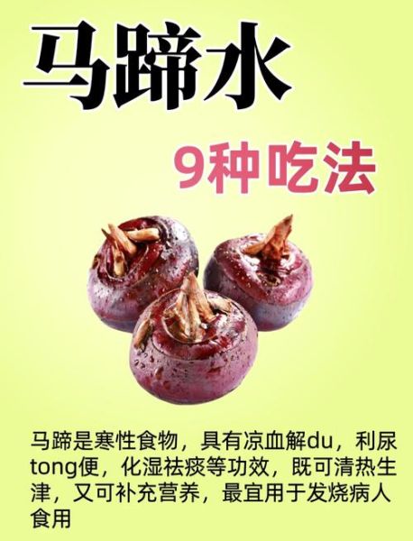 马蹄的营养价值_马蹄怎么吃最营养-第1张图片-山城妙识 马蹄的营养价值_马蹄怎么吃最营养-第1张图片-山城妙识