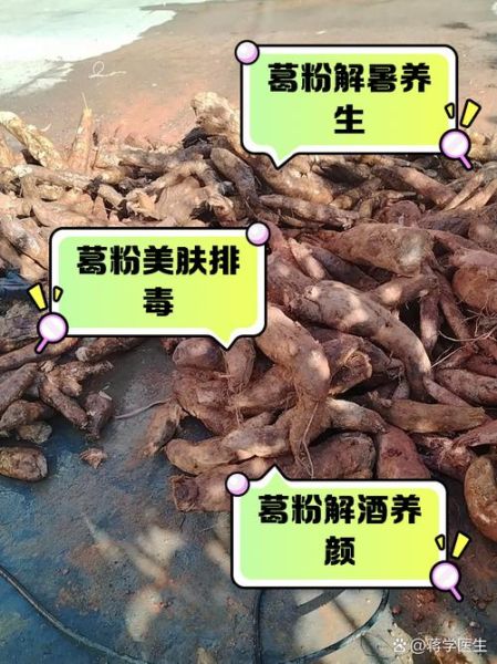 葛粉的功效与作用_葛粉的副作用有哪些-第1张图片-山城妙识