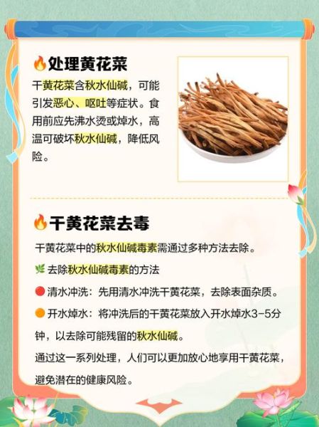 干黄花菜禁忌人群_哪些人不能吃干黄花菜-第2张图片-山城妙识