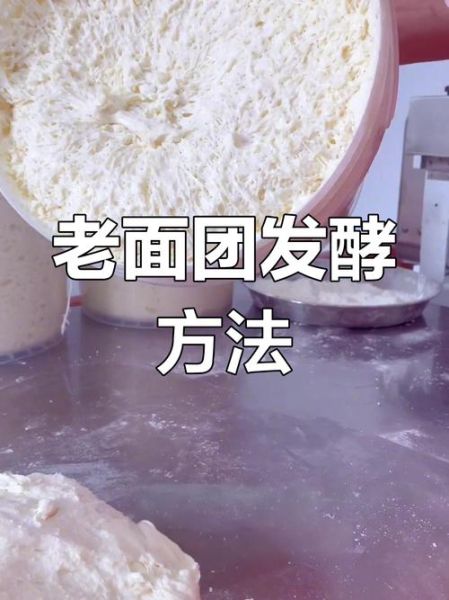 老面怎么发面_老面发面需要多久-第1张图片-山城妙识