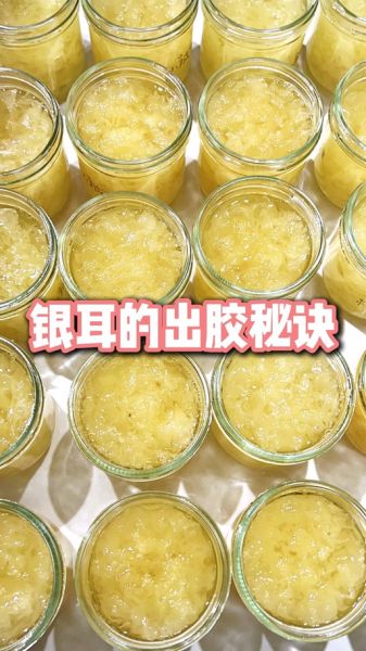 银耳煮了很久还是脆_为什么-第1张图片-山城妙识