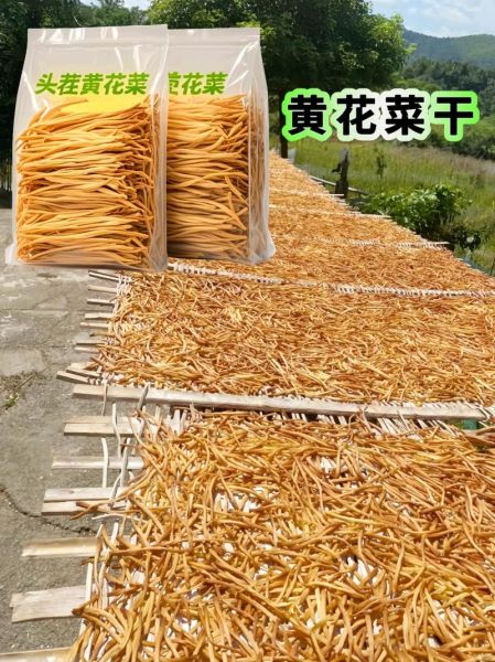 黄花菜怎么泡发才安全_干黄花菜要焯水吗-第2张图片-山城妙识 黄花菜怎么泡发才安全_干黄花菜要焯水吗-第2张图片-山城妙识