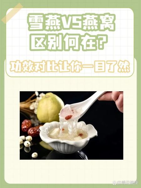 雪燕和燕窝的区别_哪个更好-第2张图片-山城妙识