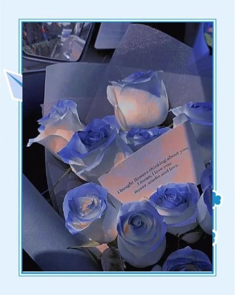 蓝玫瑰代表什么_蓝玫瑰图片怎么拍好看-第2张图片-山城妙识
