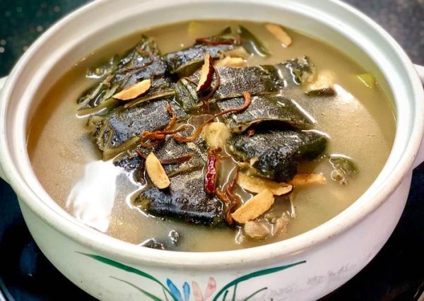 甲鱼炖鸡的做法大全_甲鱼炖鸡怎么做好吃-第3张图片-山城妙识