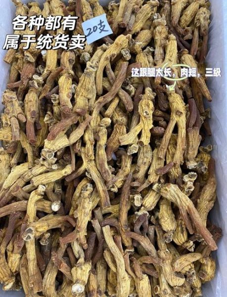 高丽参价格多少钱一克_高丽参真假怎么辨别-第1张图片-山城妙识