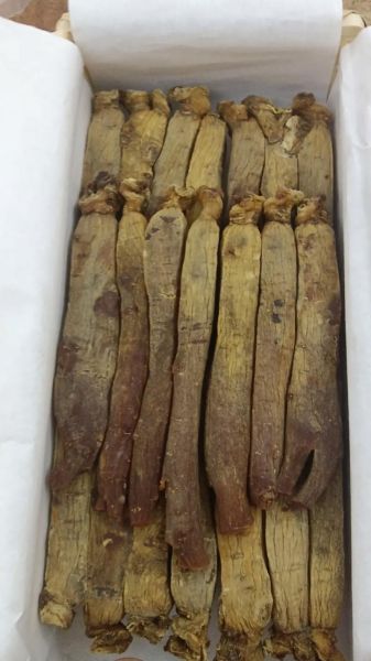 高丽参价格多少钱一克_高丽参真假怎么辨别-第3张图片-山城妙识