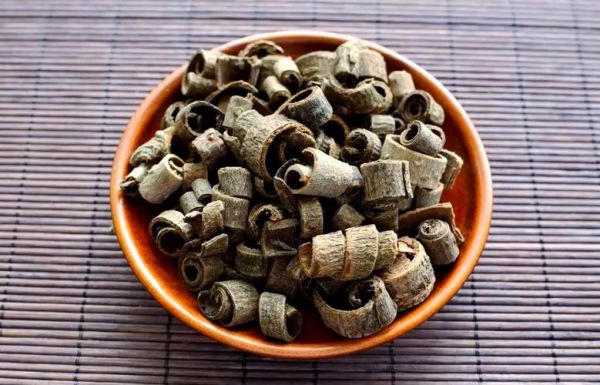 厚朴图片_厚朴长什么样-第2张图片-山城妙识 厚朴图片_厚朴长什么样-第2张图片-山城妙识