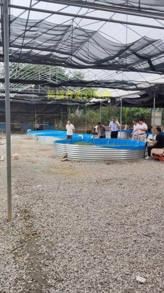 黄鳝养殖基地选址要求_黄鳝养殖基地投资多少钱-第2张图片-山城妙识