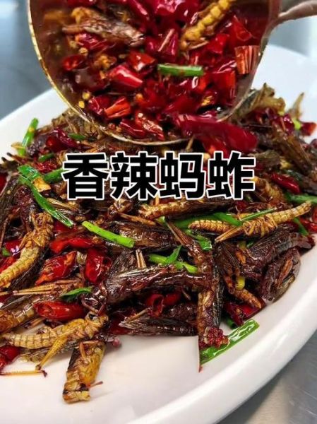 蚂蚱菜怎么吃_蚂蚱菜的做法大全-第2张图片-山城妙识 蚂蚱菜怎么吃_蚂蚱菜的做法大全-第2张图片-山城妙识