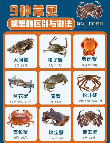 螃蟹种类大全_高清大图怎么拍-第2张图片-山城妙识 螃蟹种类大全_高清大图怎么拍-第2张图片-山城妙识
