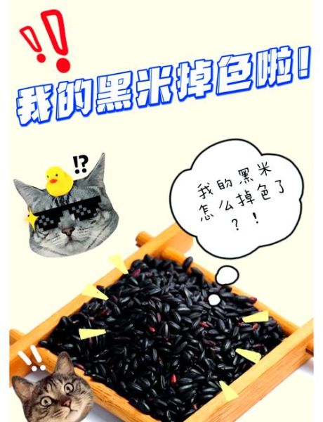 真黑米和假黑米怎么区分_真黑米泡水掉色正常吗-第2张图片-山城妙识