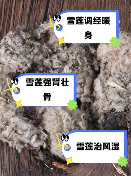 干的雪莲花怎么吃最好_干的雪莲花食用方法-第1张图片-山城妙识