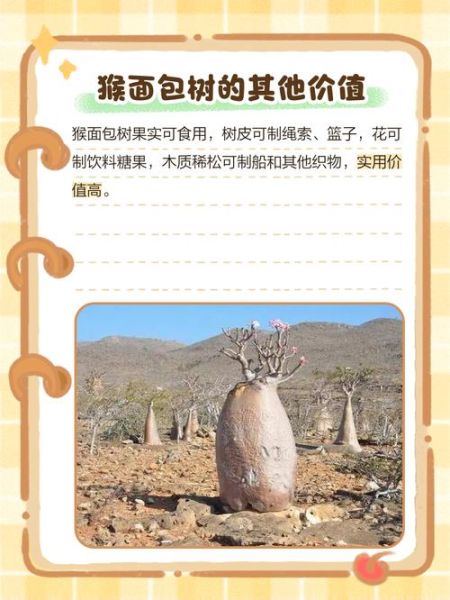 面包树果实怎么吃_面包树果实营养价值-第3张图片-山城妙识