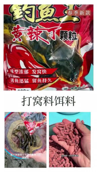 黄辣丁用什么饵料钓最好_黄辣丁饵料配方-第2张图片-山城妙识