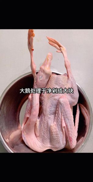 鹅的做法大全_鹅肉怎么做好吃-第3张图片-山城妙识