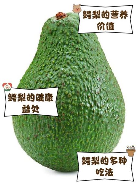 鳄梨是什么水果_鳄梨怎么吃最好-第1张图片-山城妙识