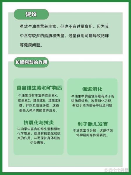 鳄梨是什么水果_鳄梨怎么吃最好-第2张图片-山城妙识