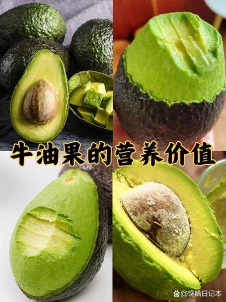 鳄梨是什么水果_鳄梨怎么吃最好-第3张图片-山城妙识