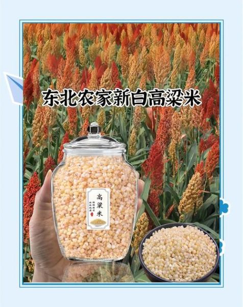 高粱米饭含糖量高吗_糖尿病人能吃吗-第3张图片-山城妙识