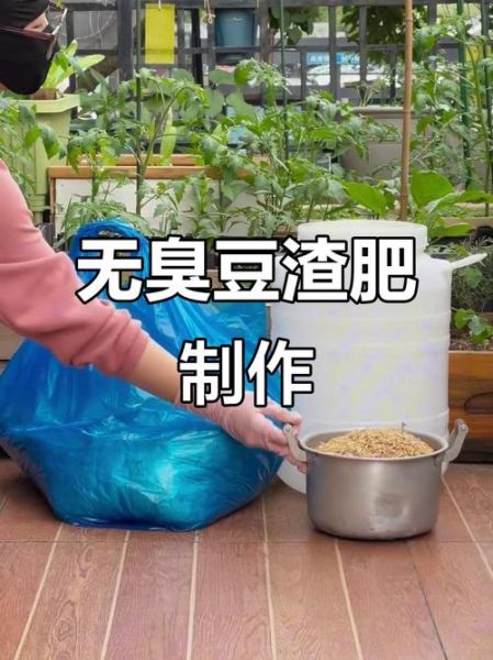 豆渣晒干了可以直接做肥料吗_豆渣晒干肥料怎么用-第2张图片-山城妙识