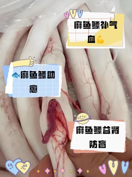麻鱼鳔的功效与作用_麻鱼鳔怎么吃最好-第3张图片-山城妙识