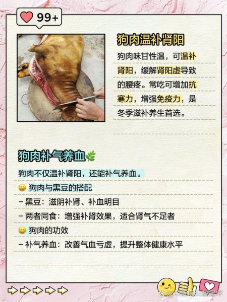 狗肉的功效与作用_狗肉什么人不能吃-第1张图片-山城妙识