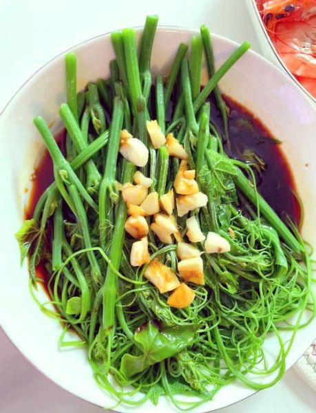 龙须菜怎么做好吃_龙须菜凉拌还是热炒-第1张图片-山城妙识
