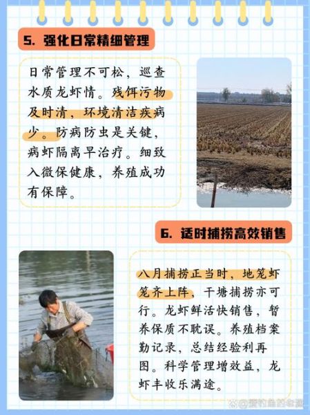 龙虾养殖技术_如何提高龙虾成活率-第2张图片-山城妙识