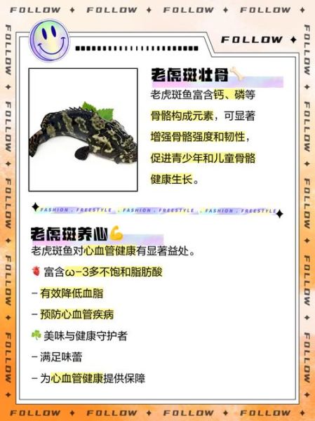 老虎鱼的功效与作用_老虎鱼怎么吃最营养-第3张图片-山城妙识 老虎鱼的功效与作用_老虎鱼怎么吃最营养-第3张图片-山城妙识