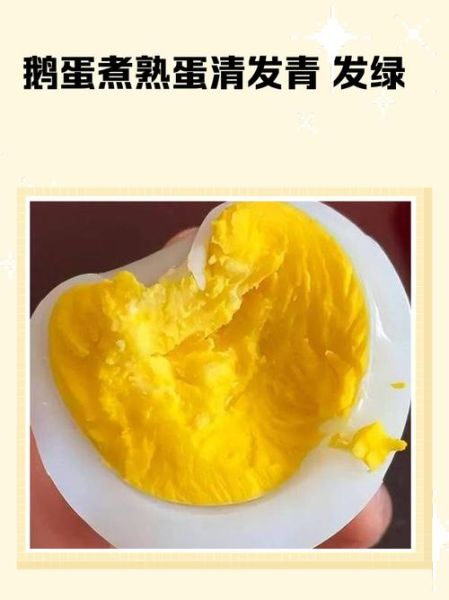 鹅蛋煮多久能煮熟_冷水下锅还是热水-第2张图片-山城妙识 鹅蛋煮多久能煮熟_冷水下锅还是热水-第2张图片-山城妙识