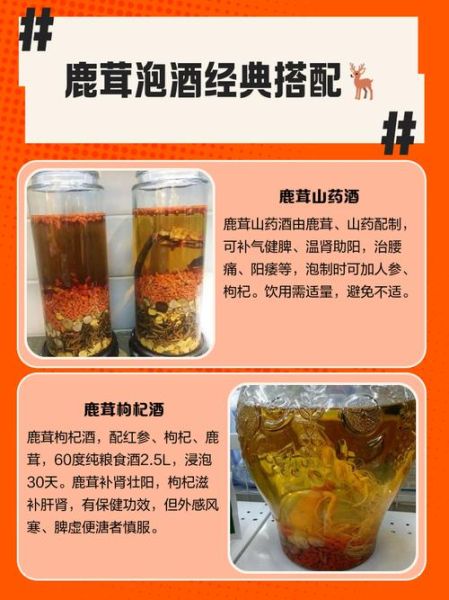 鹿茸泡酒用什么药材_鹿茸泡酒配方比例-第3张图片-山城妙识 鹿茸泡酒用什么药材_鹿茸泡酒配方比例-第3张图片-山城妙识