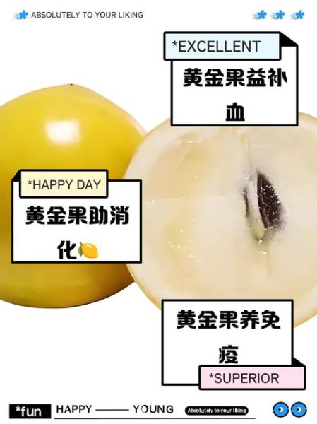 黄金果怎么吃_黄金果的功效与作用-第3张图片-山城妙识 黄金果怎么吃_黄金果的功效与作用-第3张图片-山城妙识
