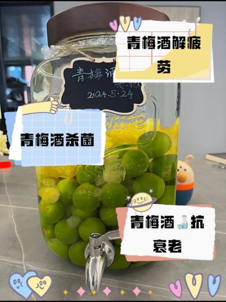青梅酒的功效与作用禁忌_青梅酒能每天喝吗-第3张图片-山城妙识 青梅酒的功效与作用禁忌_青梅酒能每天喝吗-第3张图片-山城妙识