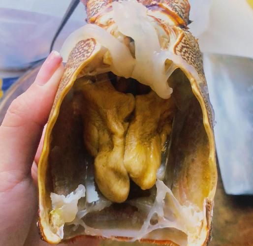 澳洲龙虾怎么做_澳洲龙虾清蒸还是蒜蓉-第3张图片-山城妙识 澳洲龙虾怎么做_澳洲龙虾清蒸还是蒜蓉-第3张图片-山城妙识