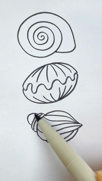 贝壳简笔画怎么画_贝壳简笔画步骤-第2张图片-山城妙识 贝壳简笔画怎么画_贝壳简笔画步骤-第2张图片-山城妙识