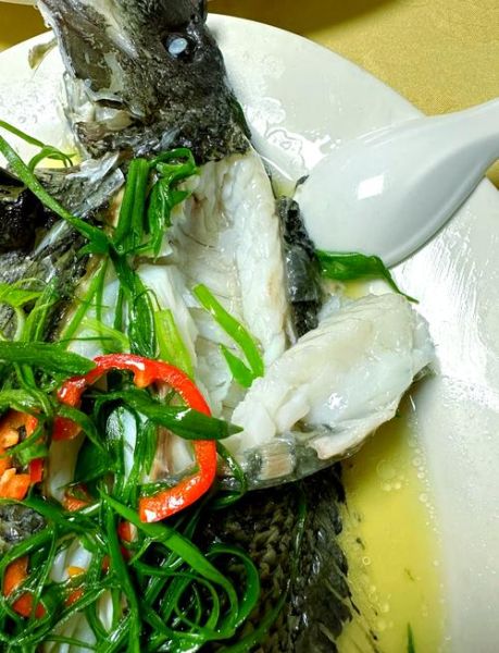 黑毛鱼多少钱一斤_黑毛鱼价格行情-第2张图片-山城妙识 黑毛鱼多少钱一斤_黑毛鱼价格行情-第2张图片-山城妙识