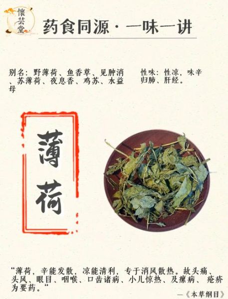 薄荷茶的功效与作用_薄荷茶有副作用吗-第2张图片-山城妙识
